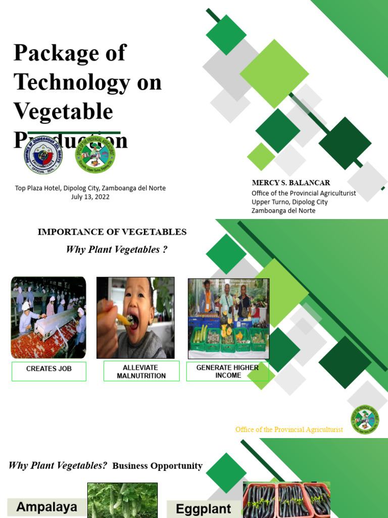 CGM Pot Vegetable Production | PDF | Agriculture | Food Industry