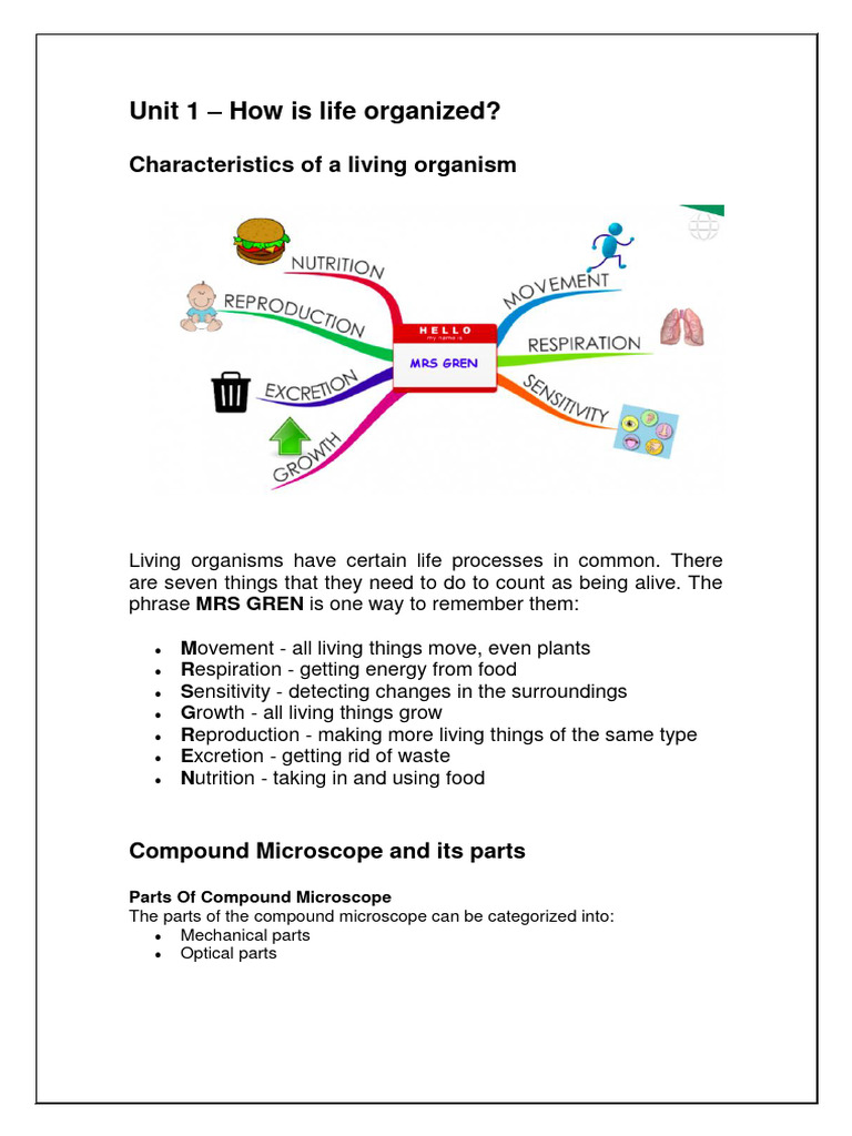 Everything About Cells (NOTES) | PDF | Osmosis | Virus