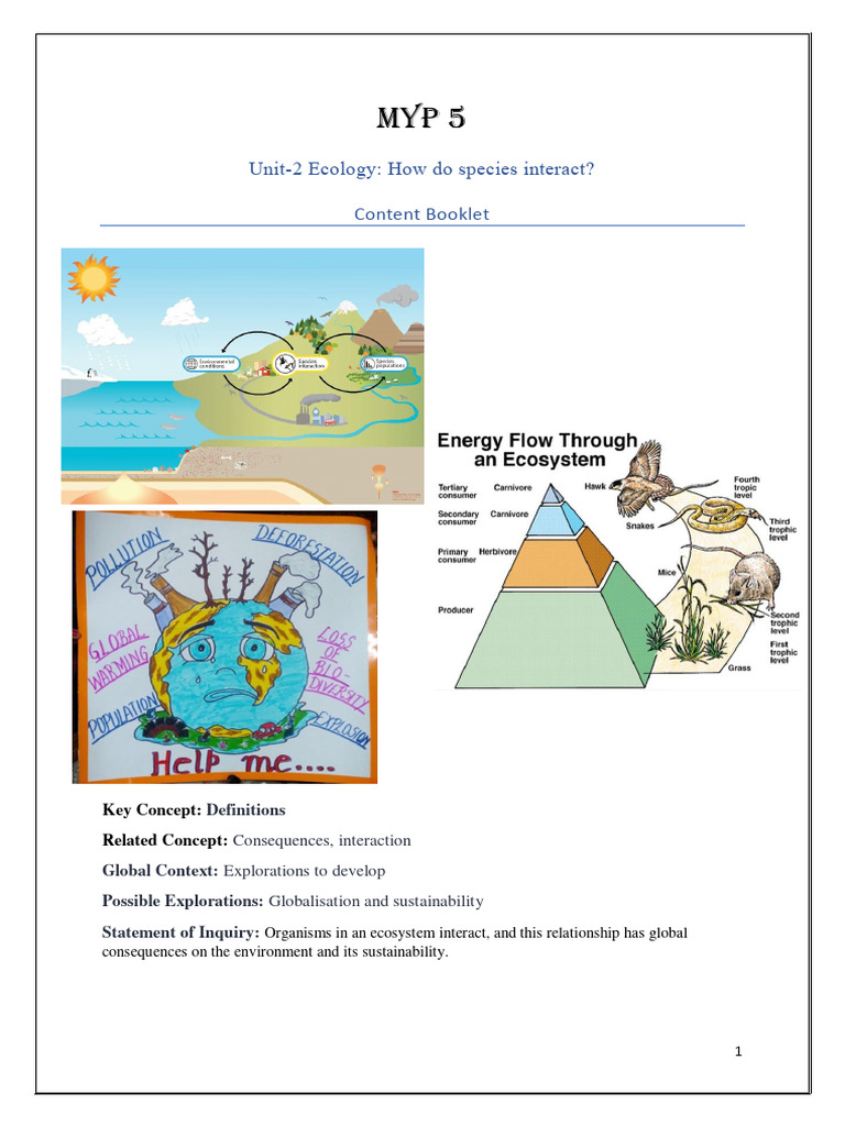 Biology - Ecology Content Booklet (Grade 10) | PDF | Food Web | Ecosystem