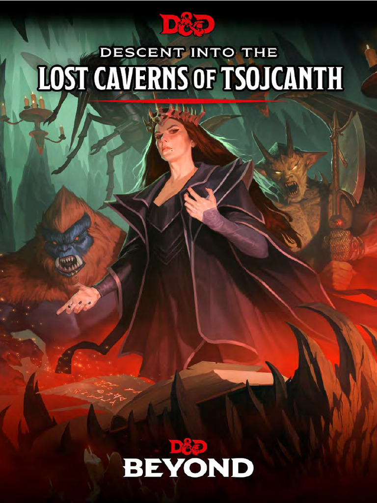DND 5e Descent Into The Lost Caverns of Tsojcanth | PDF | Young Adult | General Fiction