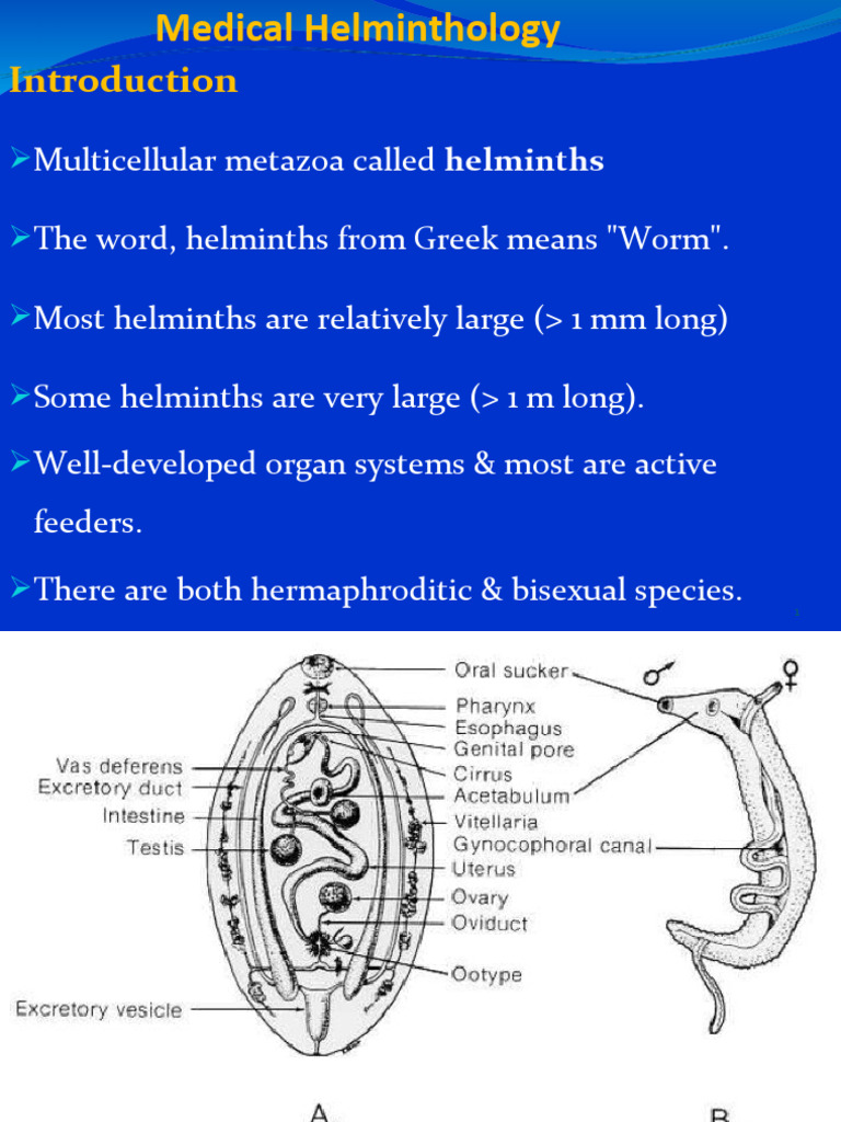 Helminths & Ascaris For Ho | PDF | Nematode | Medical Specialties