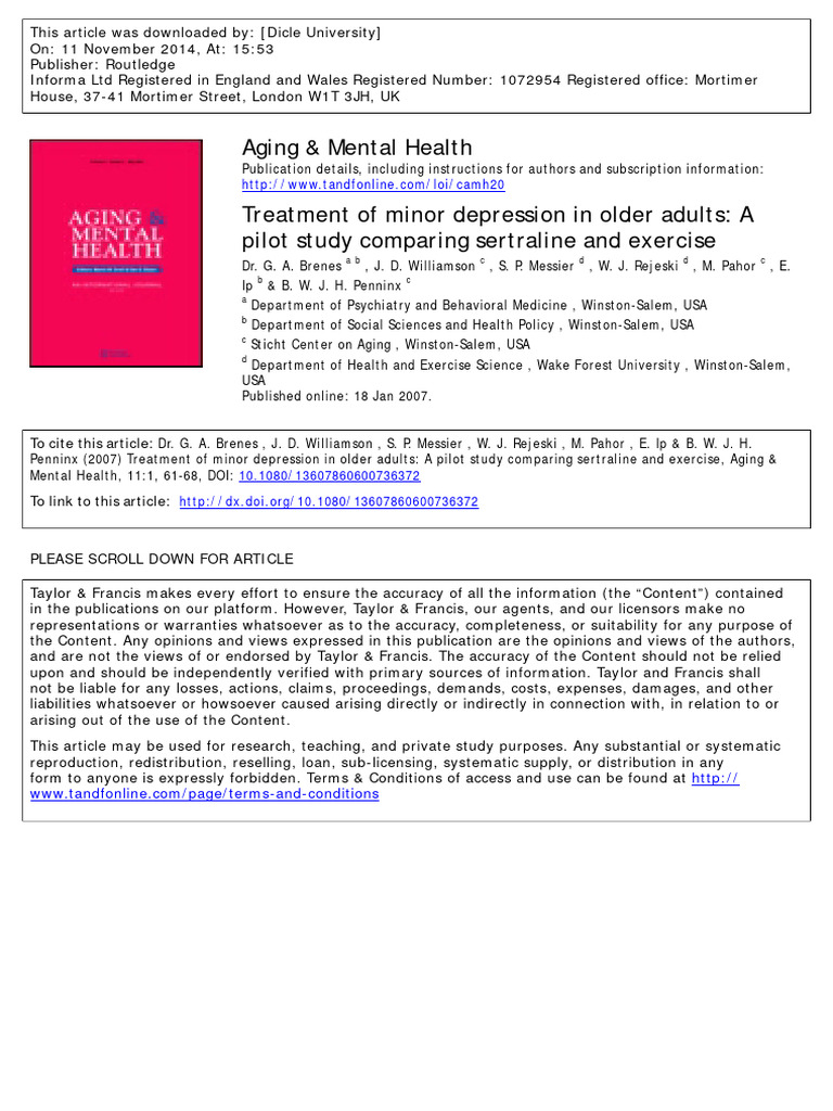 Minor Depression in Older Adults: Study Results | PDF | Antidepressant ...