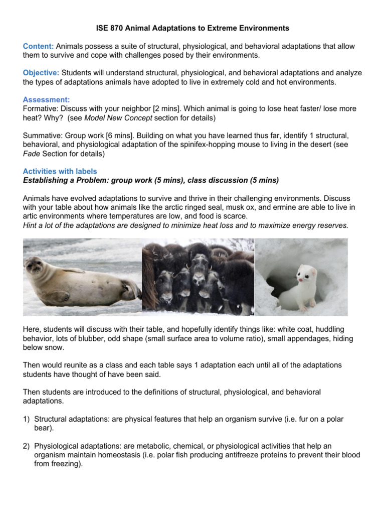 Animal Adaptations for Students | PDF | Adaptation | Heat Transfer