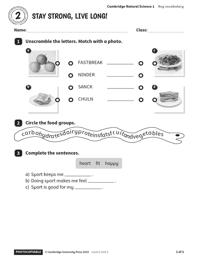 Unit 2 Science Worksheets | PDF | Foods | Lunch