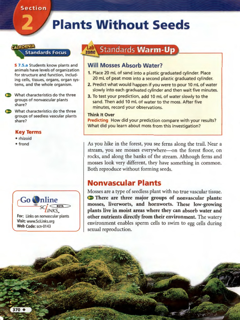 Plants | PDF | Plant Stem | Leaf