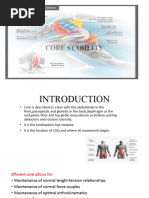 19 Mcgills Torso Muscular Endurance Test Battery Protocol | PDF ...