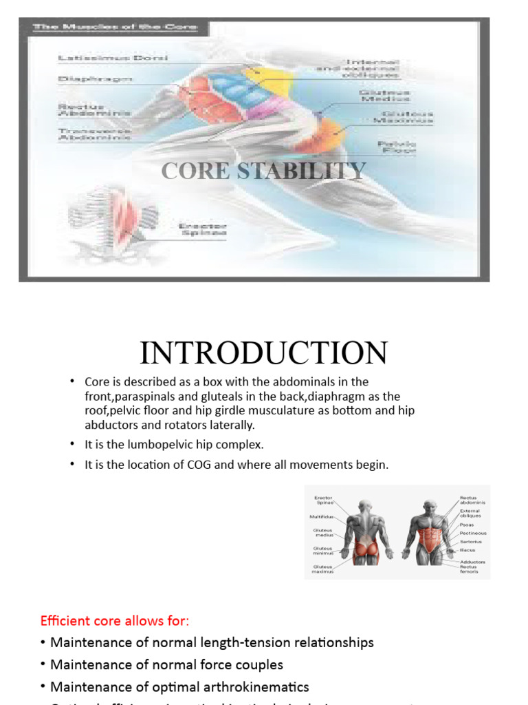 Core Stability | PDF | Anatomical Terms Of Motion | Pelvis