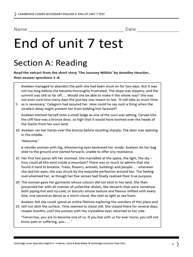 LS English 9 Unit 7 Test | PDF