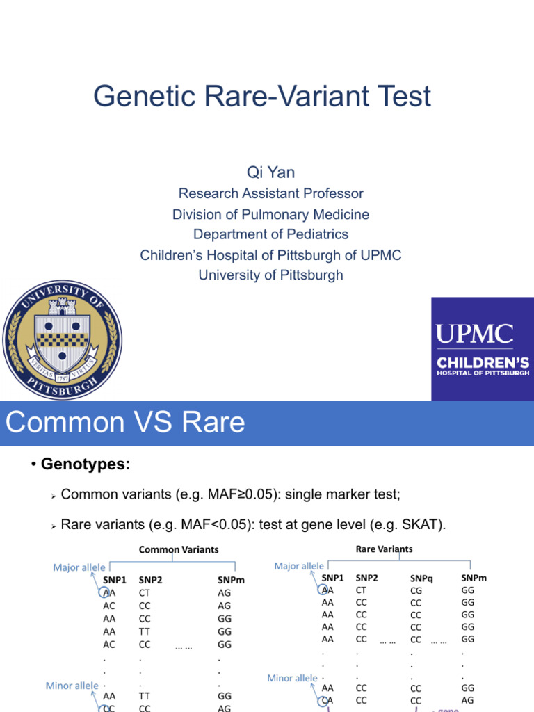 Statistical Gene Rare Variant Test | PDF | Statistics | Regression Analysis