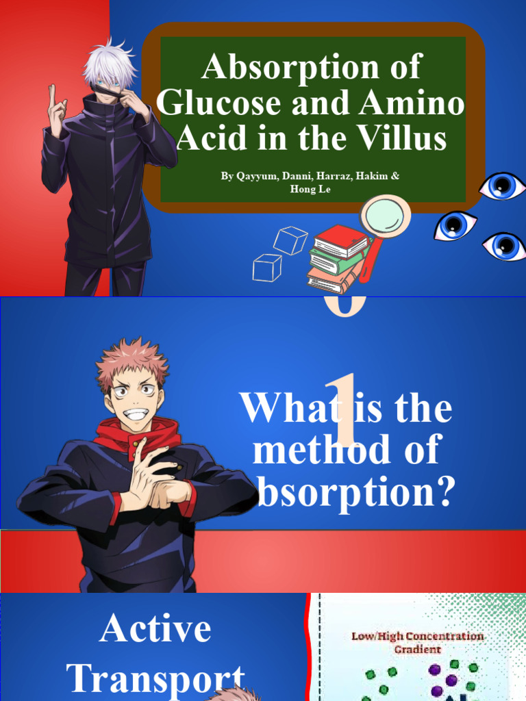 Absorption of Glucose and Amino Acid by Japan Guy | PDF