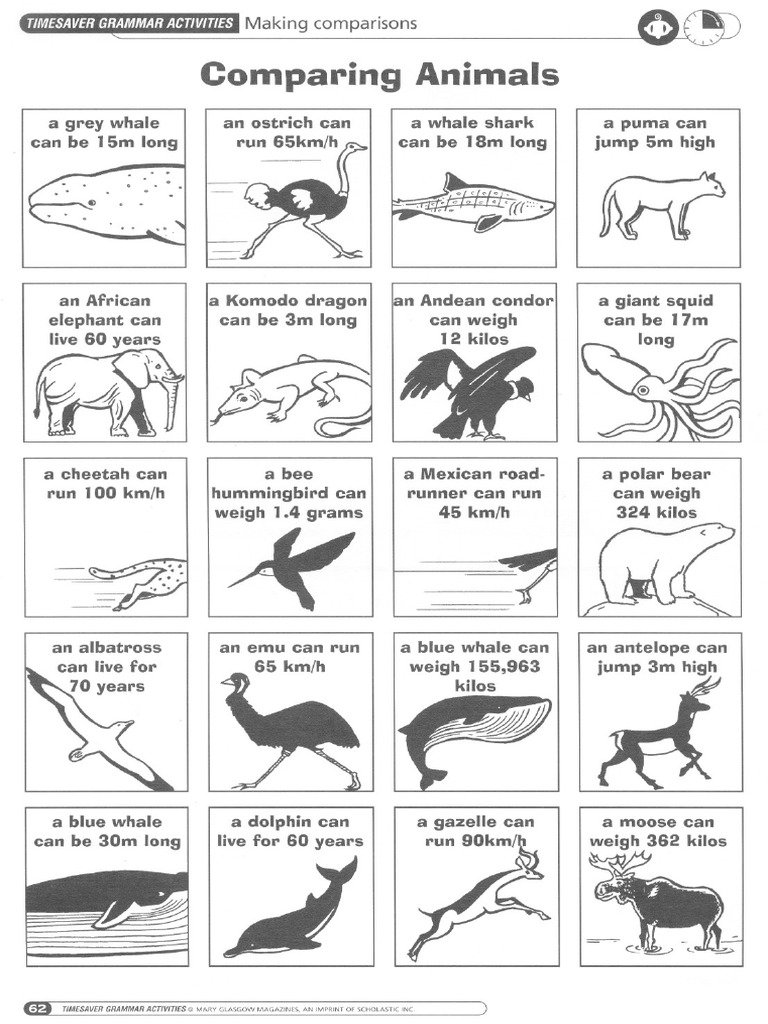 Animal Comparison Grammar Activities | PDF | Zoology