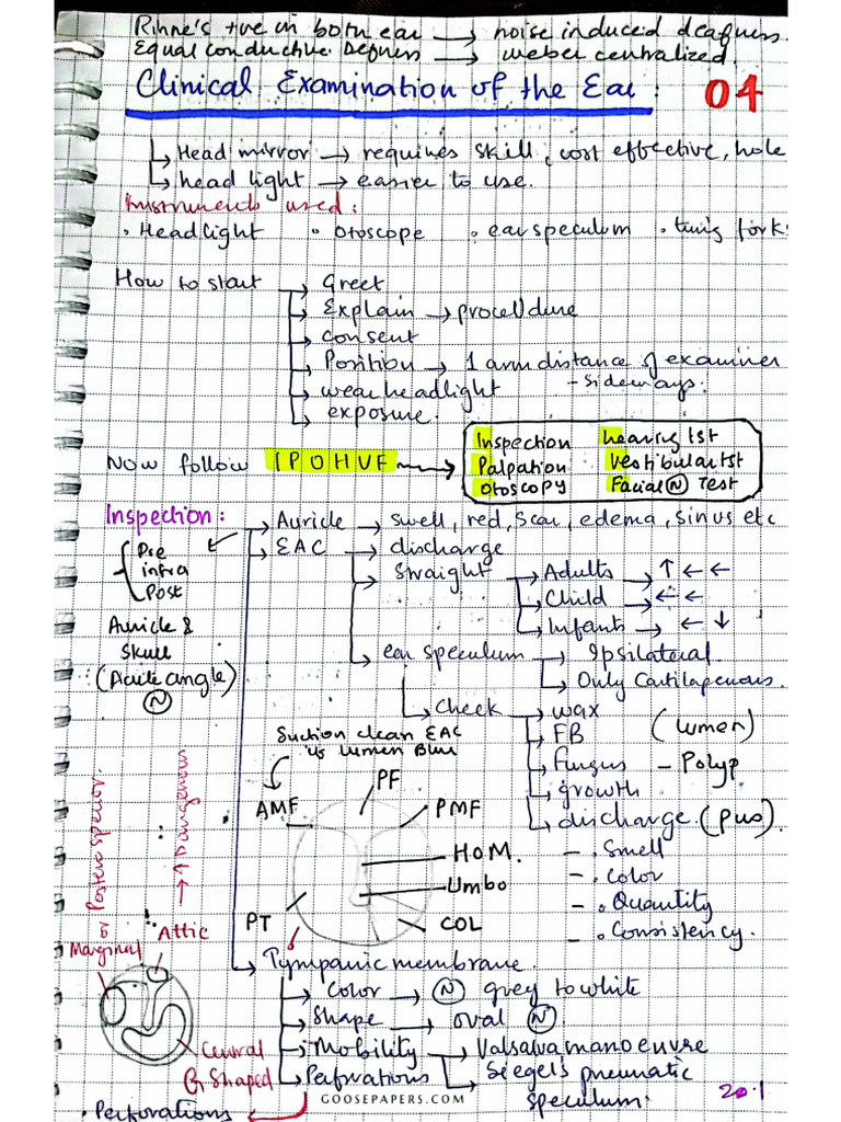 All Ent Examinations | PDF