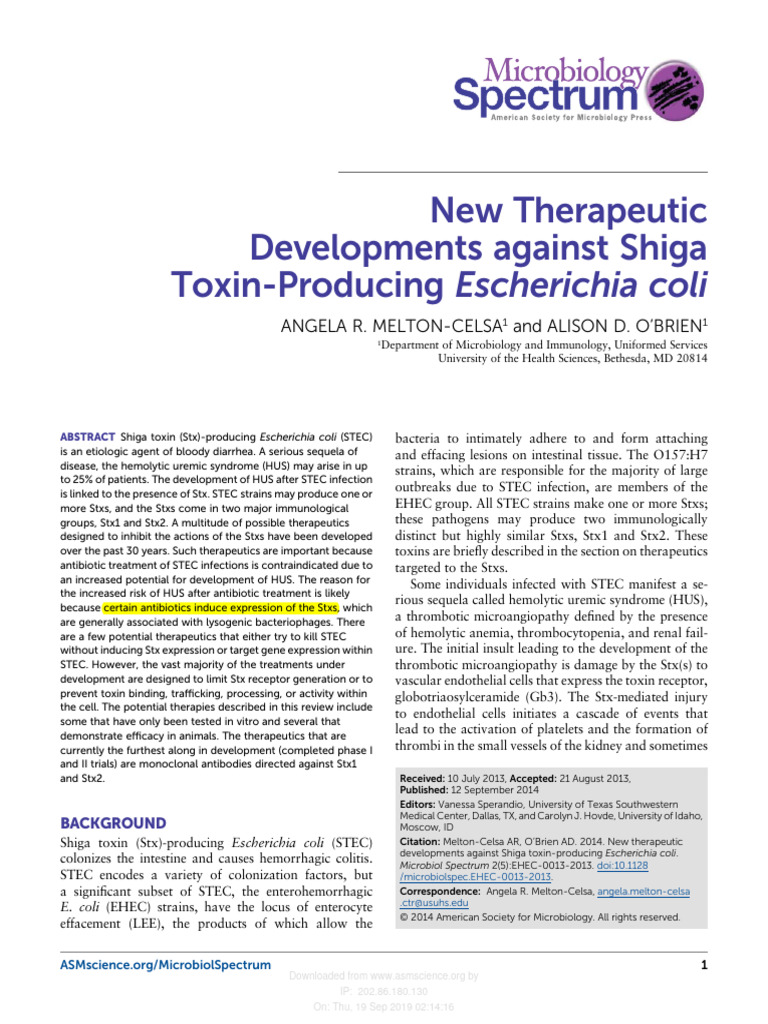New Therapeutic Developments Against Shiga Toxin-Producing Escherichia ...