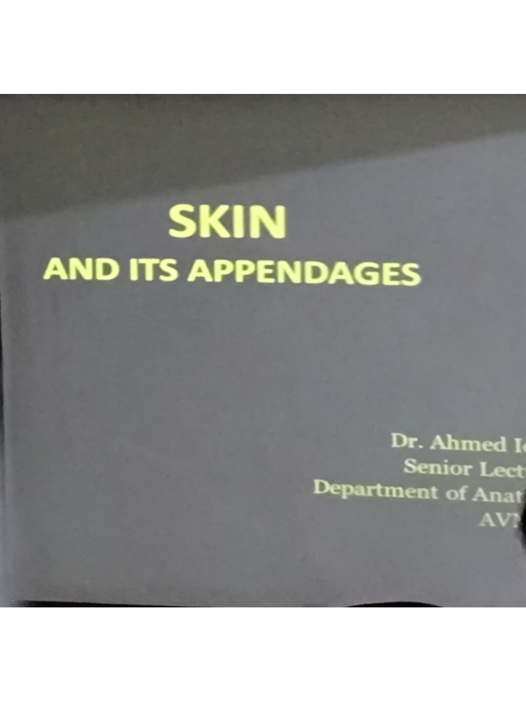 Skin Slides 1 | PDF