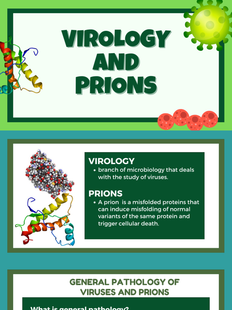 GROUP-1-VIROLOGY-PRIONS | Download Free PDF | Zika Fever | Virus