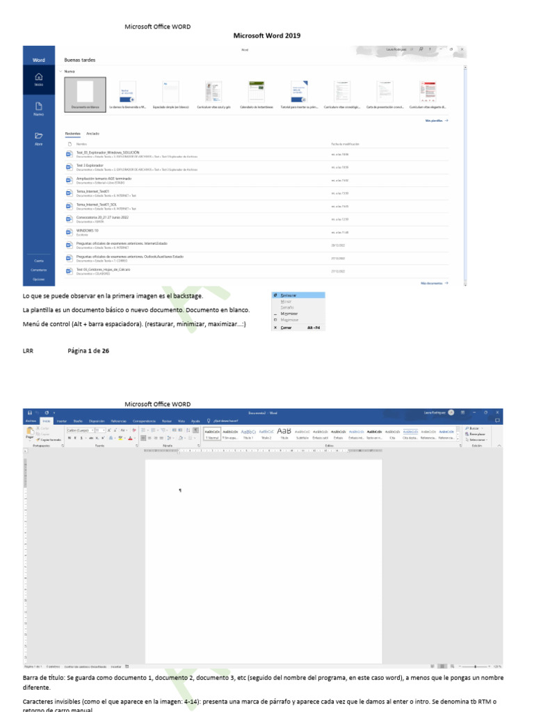 Guía Completa de Microsoft Word 2019 | PDF | Microsoft Office | Microsoft