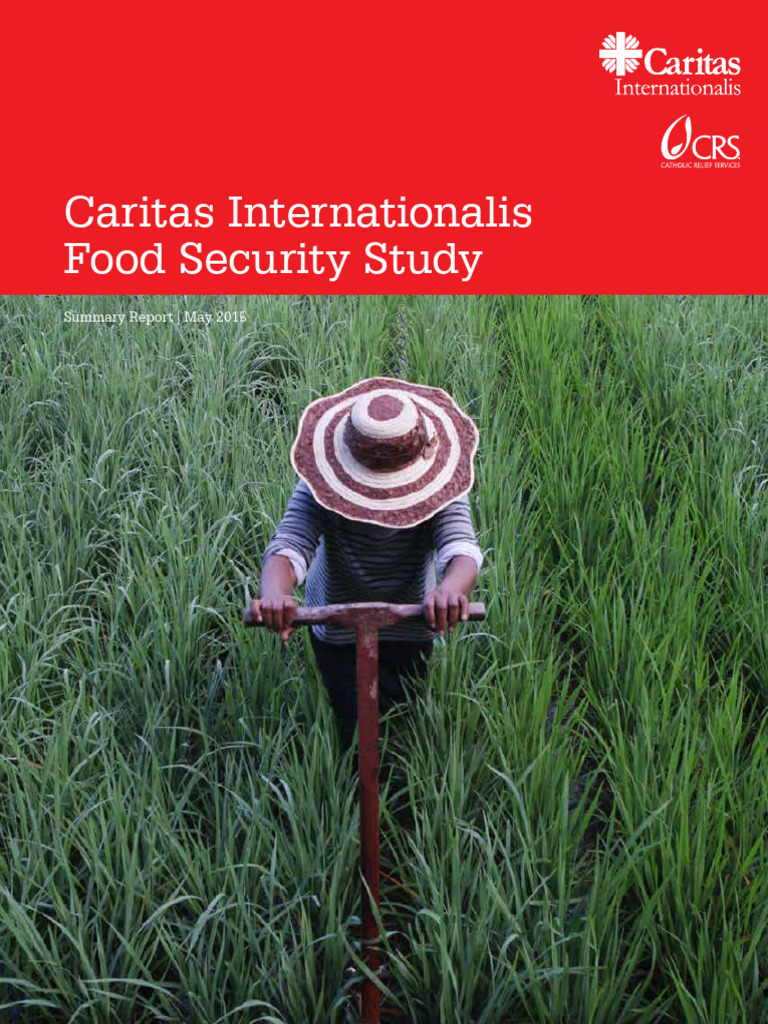 Caritas Food Study Final May 4 2015 Light | PDF | Food Security ...