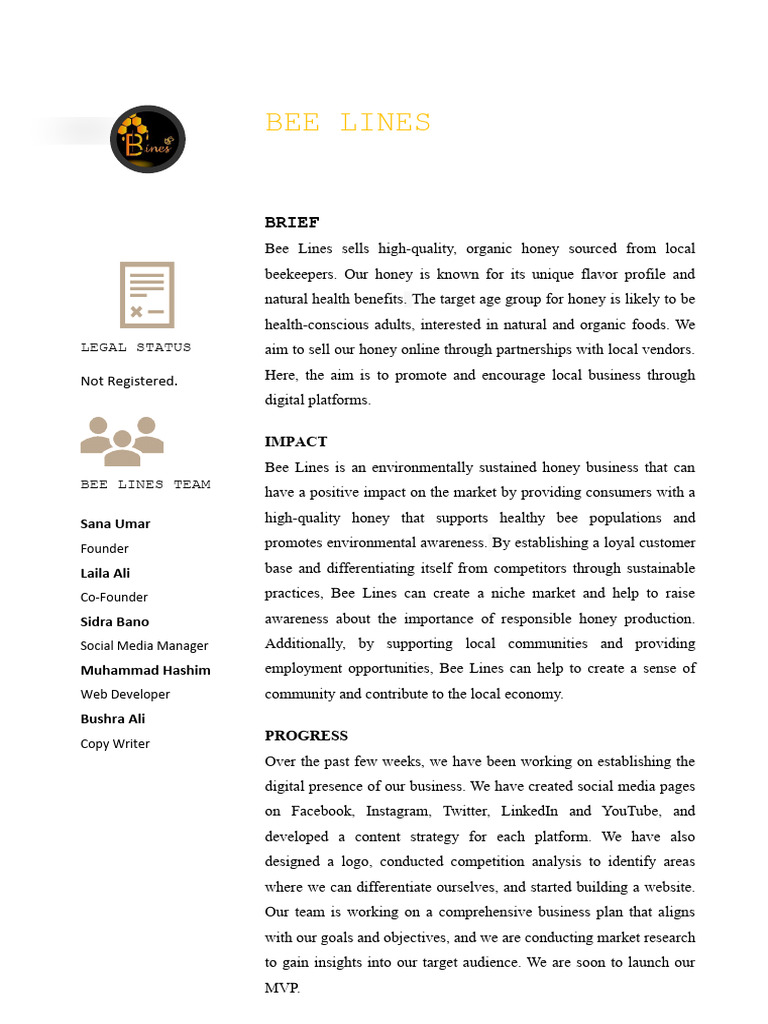 Copy of Sample monthly Report-1 | PDF