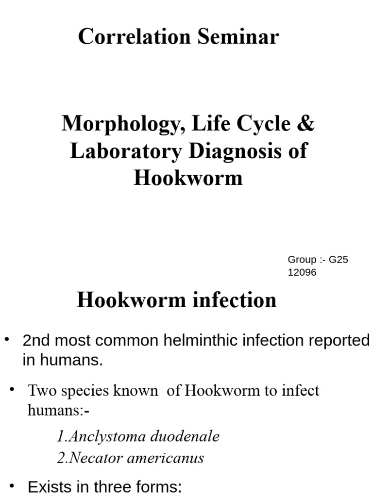 Hookworm | PDF | Medical Specialties | Diseases And Disorders