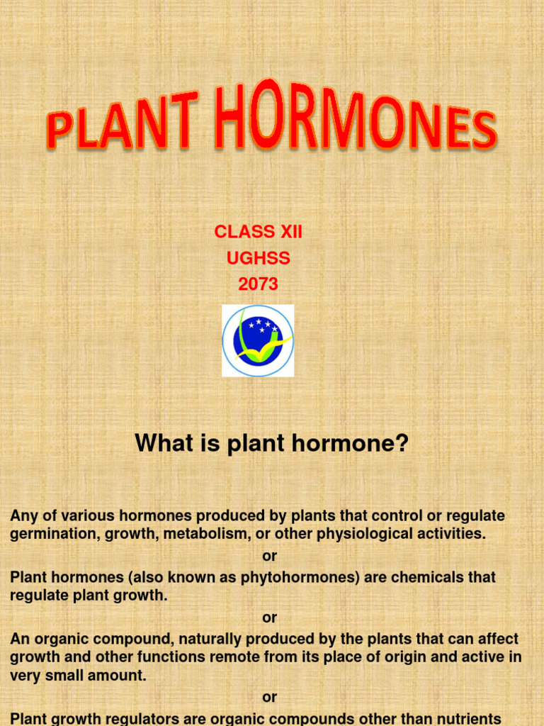 Plant Hormones Final 1 | PDF | Auxin | Plant Hormone