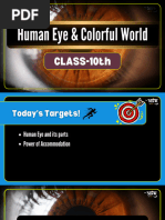 Grade 12 Life Science The Eye | PDF | Eye | Myopia