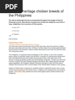 Philippine Native Chicken Breeds Guide | PDF | Chicken | Agriculture