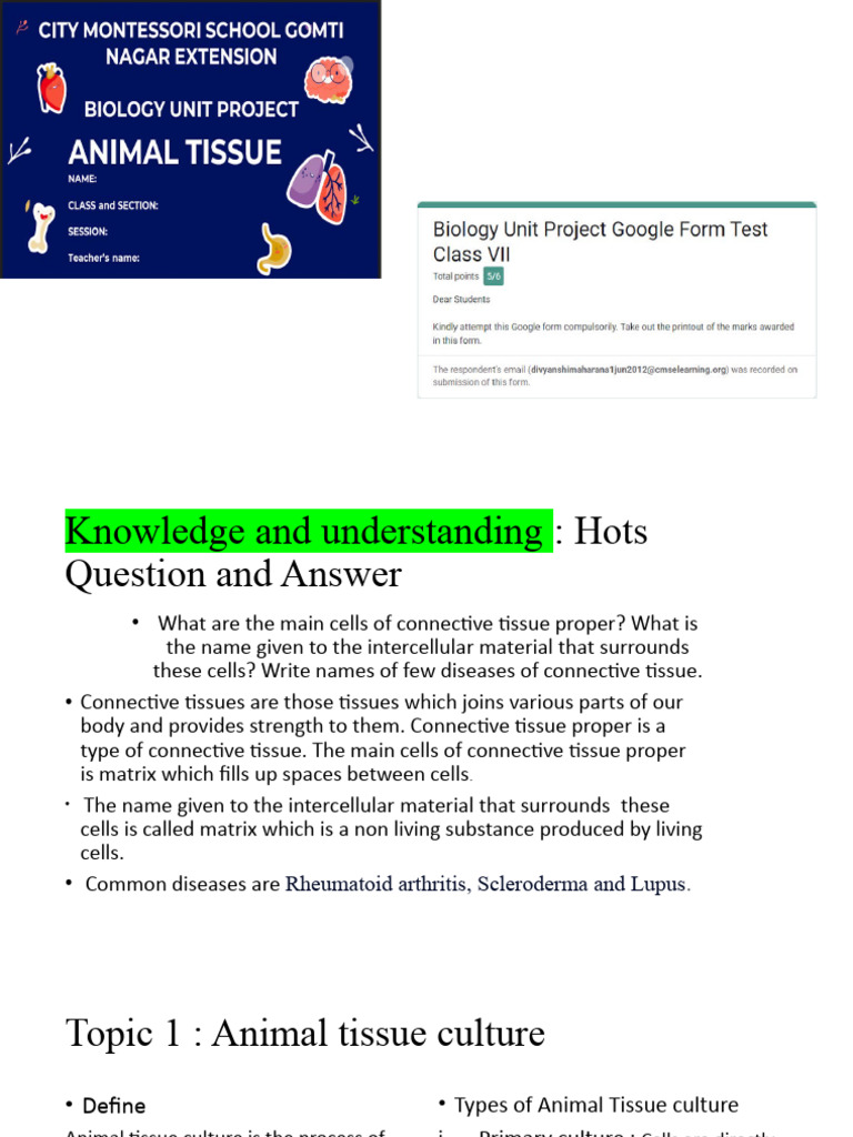 Connective Tissue and Animal Culture Insights | PDF | Tissue (Biology ...