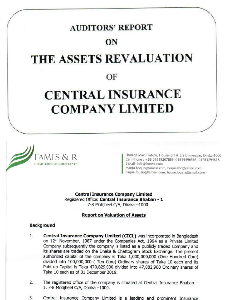 Asset Valuation Report-FAMES & R | PDF