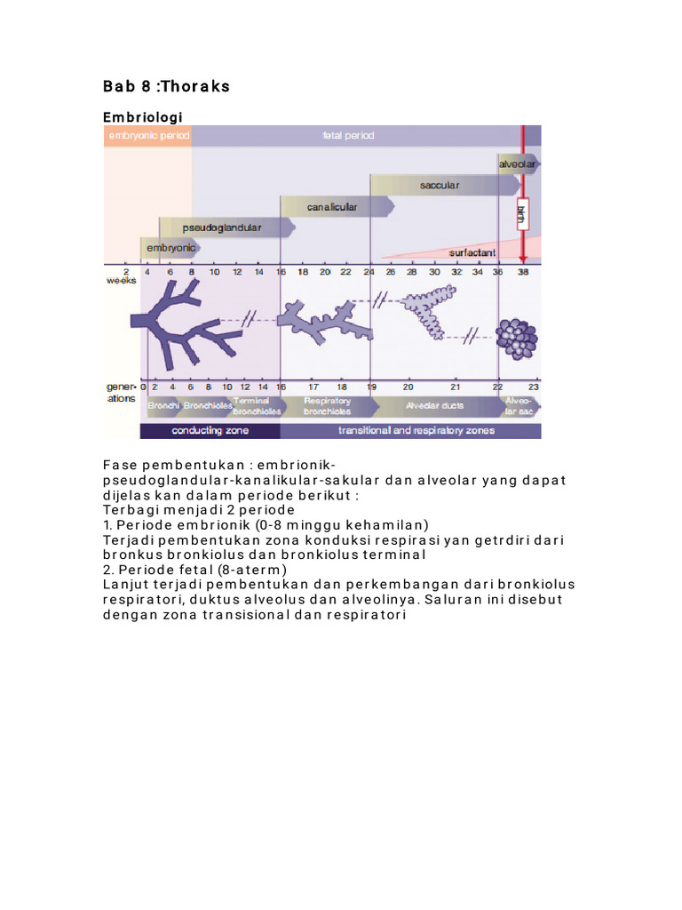 Anatomi Fisiologi Terapi Bedah Bab 8 | PDF | Kajian Bahasa Asing ...