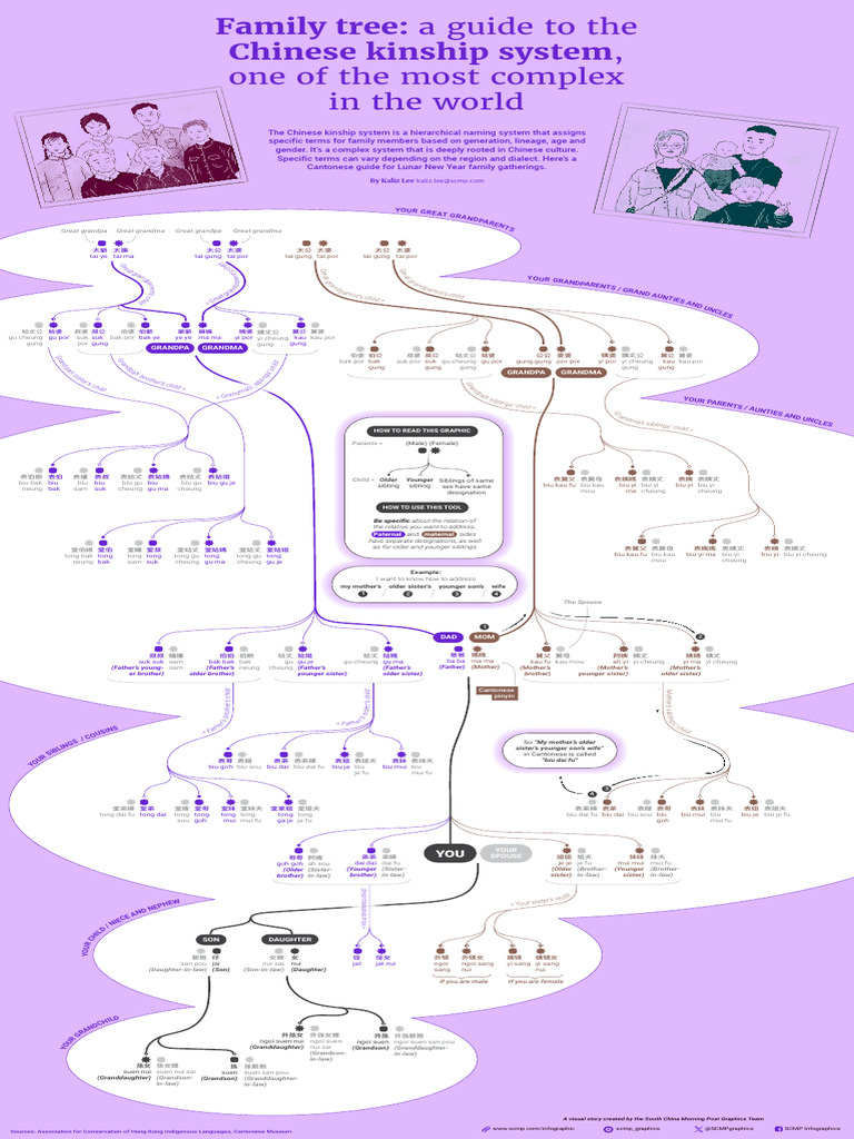 Chinese Family Tree | PDF | Human Life Stages | Family