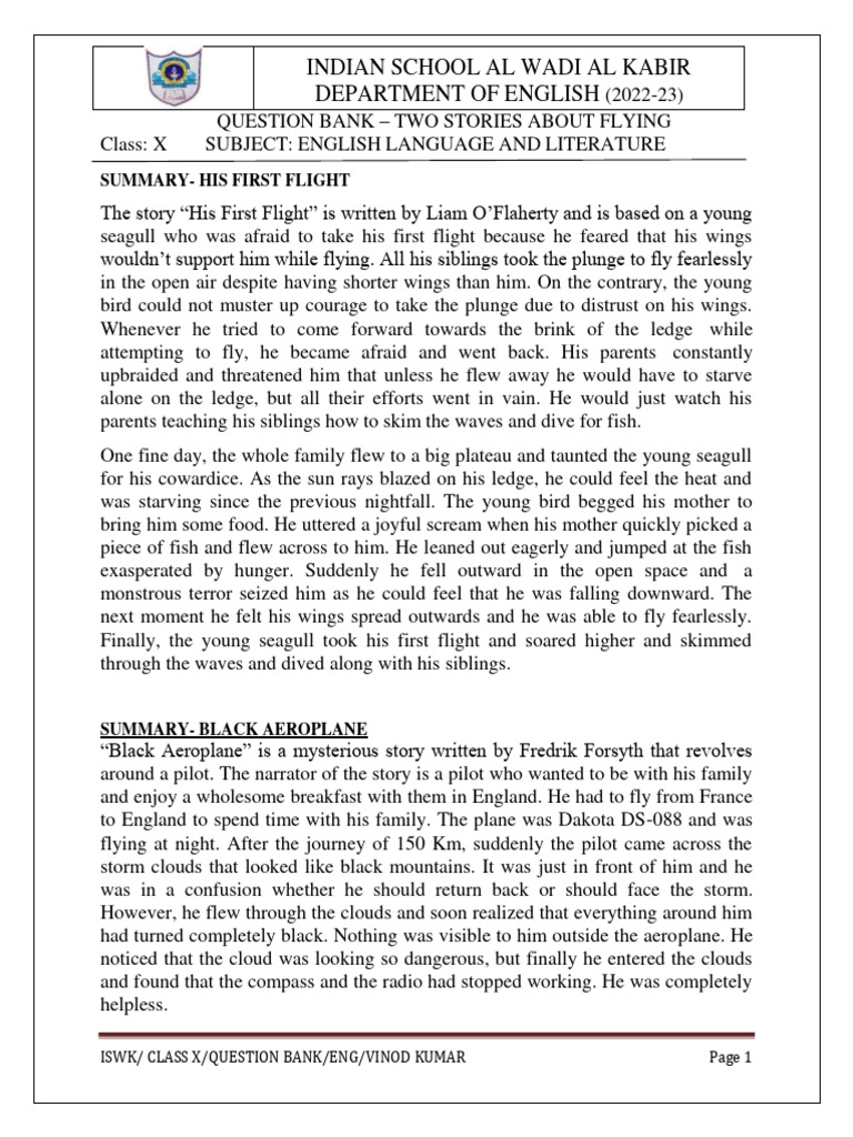 Class X English Question Bank: Flying Stories | PDF | Airplane | Fear