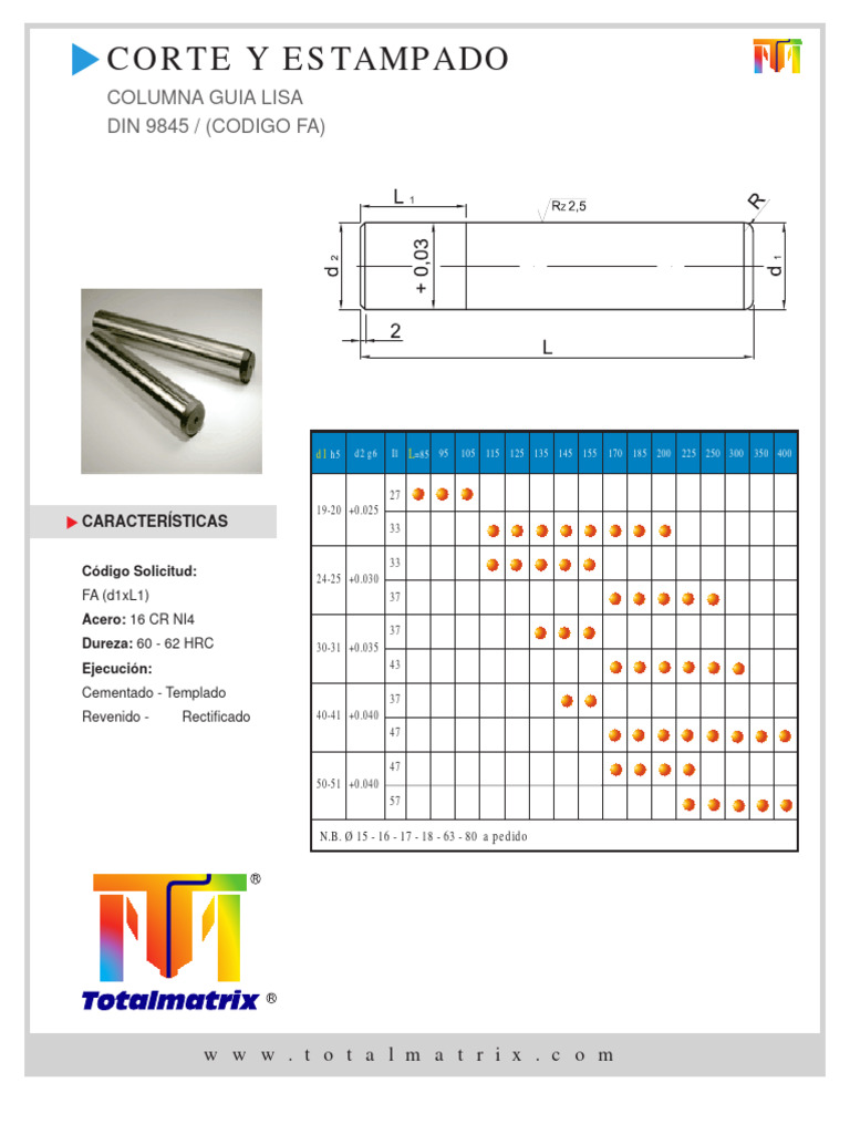 Totalmatrix Columna Fa Din 9845 | PDF