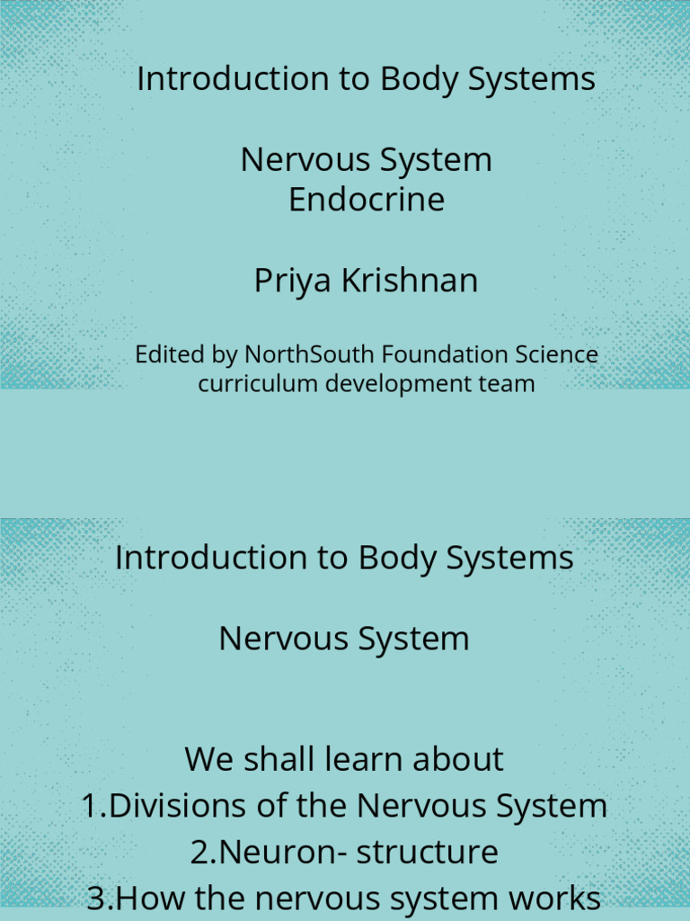 Advanced Endocrine and Nervous System Presentation | PDF | Nervous System | Pituitary Gland