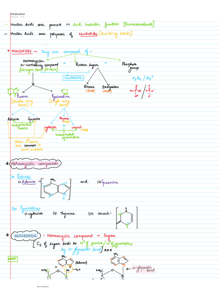 Nucleic Acids & DNA Models Guide | PDF