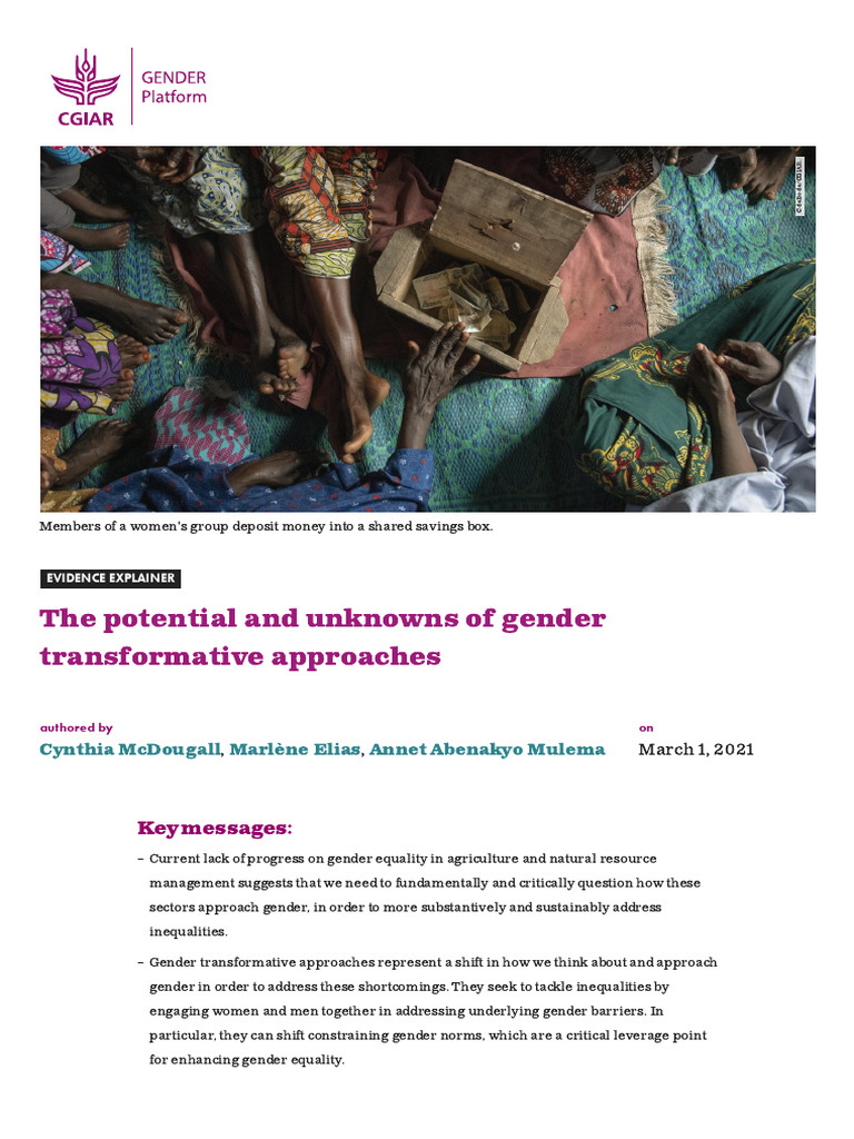 Gender Approaches | PDF | Gender | Gender Studies