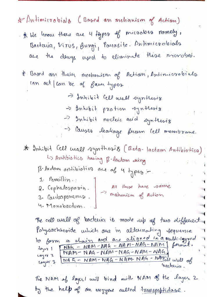 Penicillin (Antimicrobial) Ayushya Notes | PDF