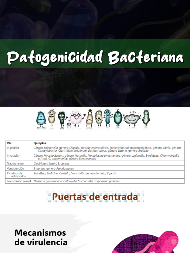 Patogenicidad Bacteriana | PDF | Escherichia coli | Sistema inmune