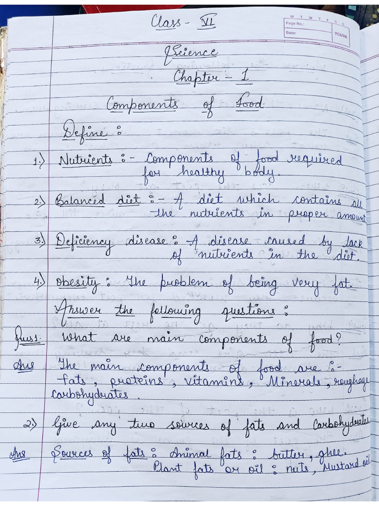 Class 6th Science Chapter 1 | PDF
