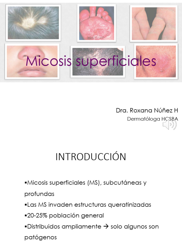 Micosis Nuevo | PDF | Medicina | Micología
