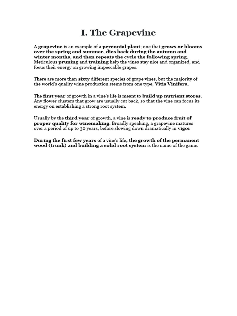 The Grapevine. Theory. Assignment 1 | PDF | Vitis | Horticulture