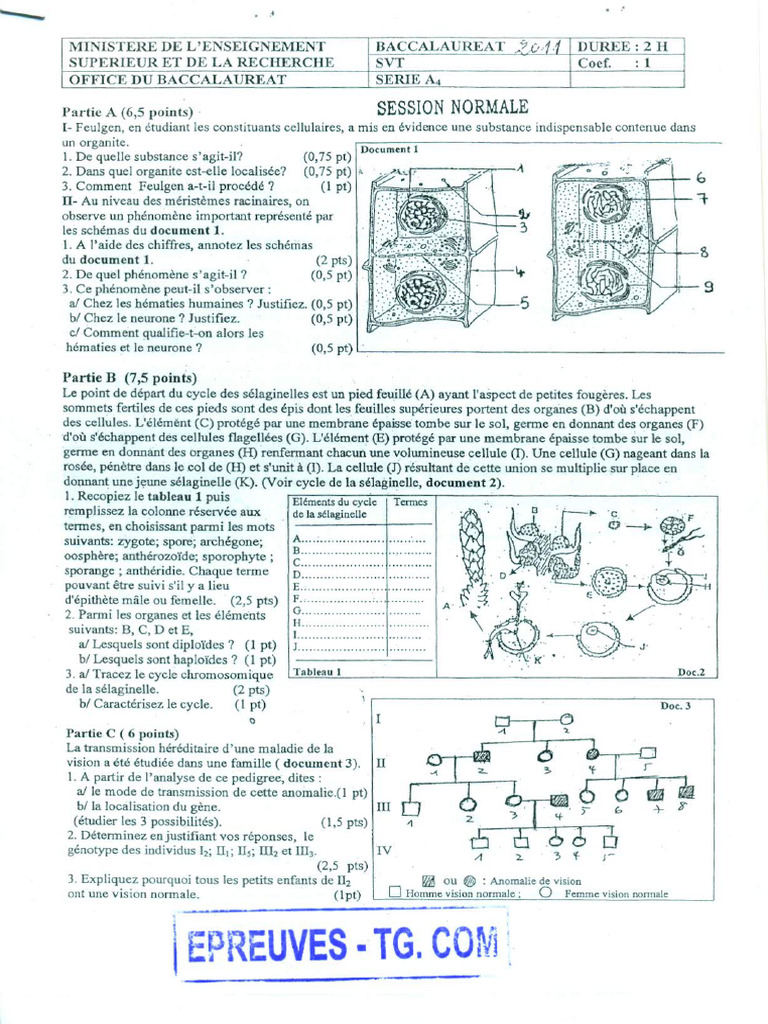 Bac A SVT 2011 | PDF
