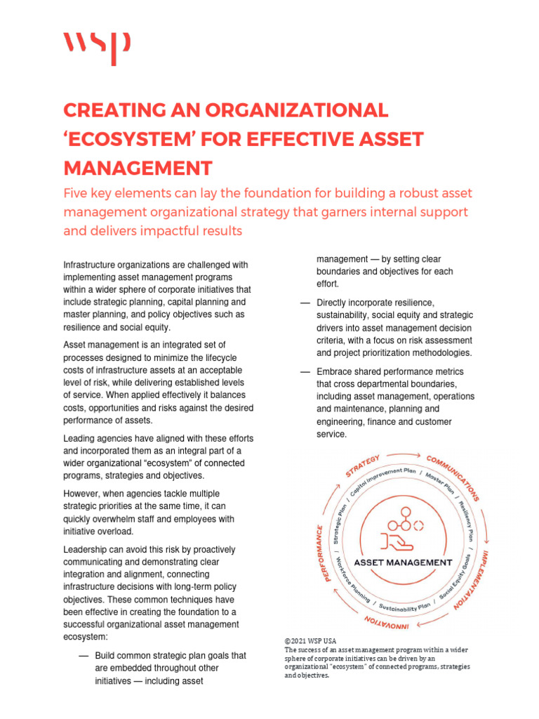 WSP Asset Management Organizational Ecosystem | PDF | Asset Management ...