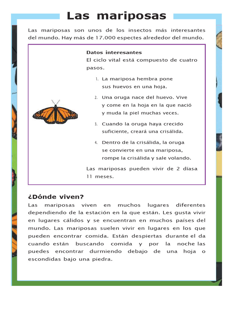 FICHA DE LECTURA 20 | Descargar gratis PDF | Mariposa | Lepidópteros