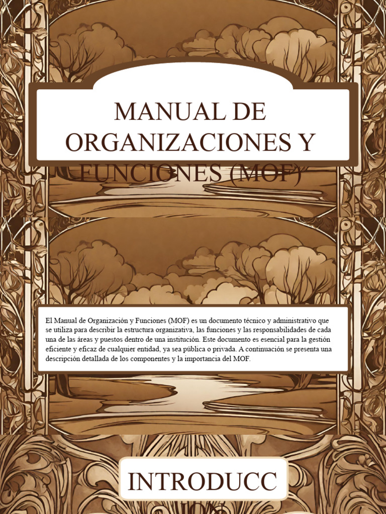Manual de Organizacion y Funciones Mof | PDF | Business