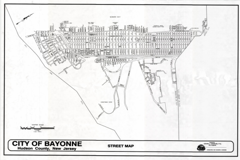 Bayonne Street Map | PDF