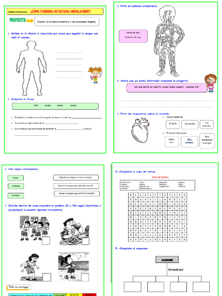 Ciencia 04-07-24 | PDF