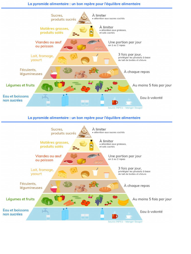 Pyramide Alimentaire | PDF