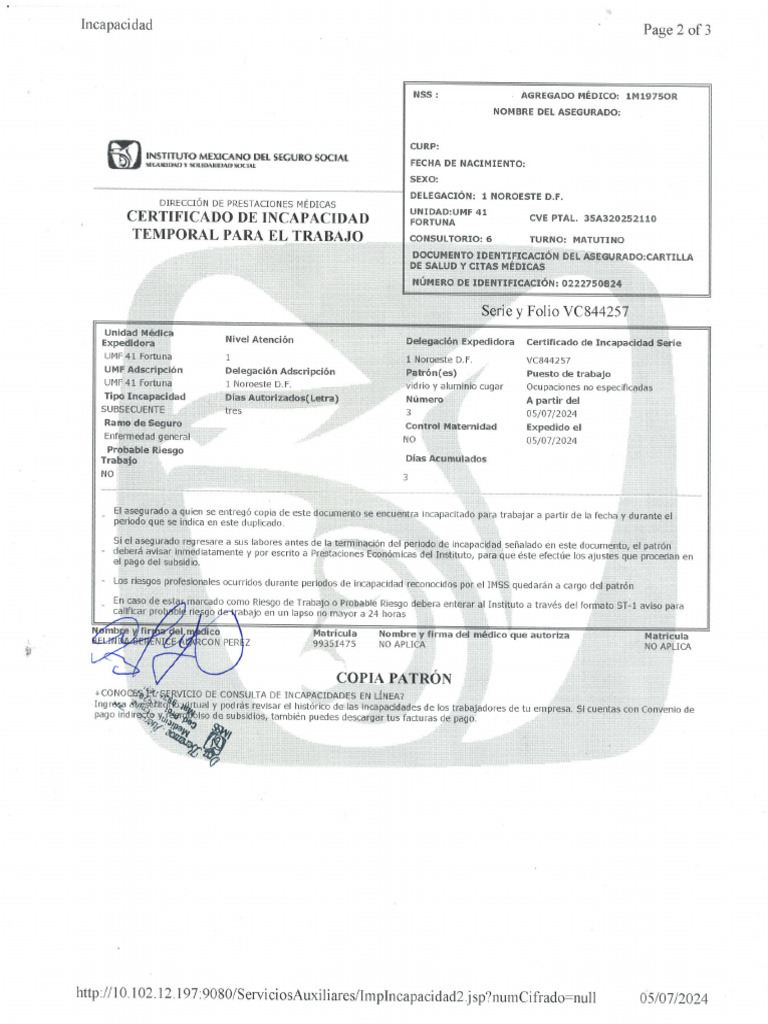 Formato Incapacidad | PDF