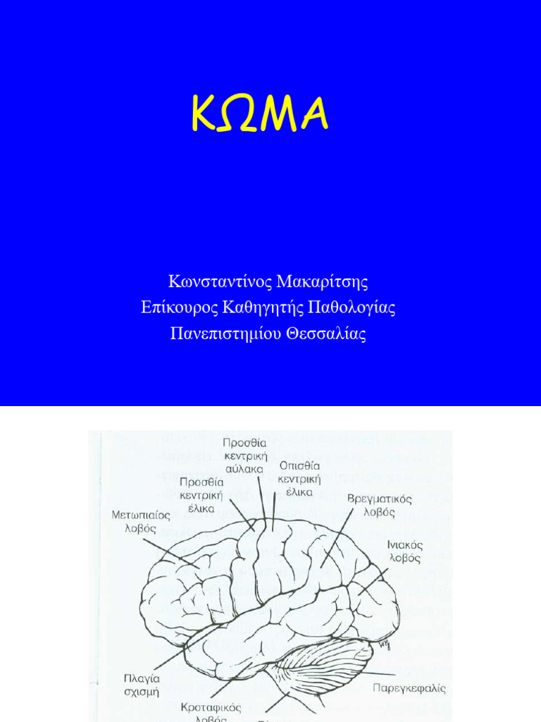 Kwma MAKARITSIS | PDF