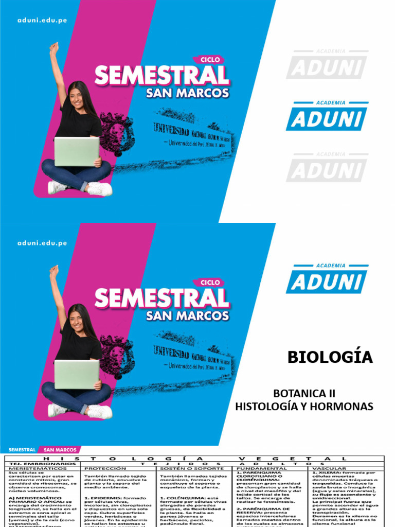 SSM SEM 12 ABC Histologia y Hormonas Vegetal | PDF | Hormona Vegetal | Tallo de la planta